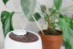How Does a Humidifier Work? Do You Really Need One in Your Home ...