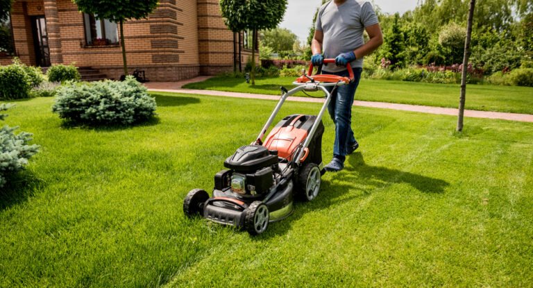 How Long To Wait To Mow After Lawn Treatment