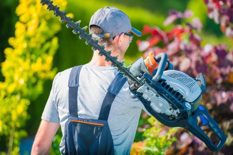 Why Won't My Hedge Trimmer Start? Find Out Here! - Homes Guide