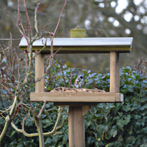 Unlock the Secrets of Where to Put Bird Tables in Your Garden! - Homes ...